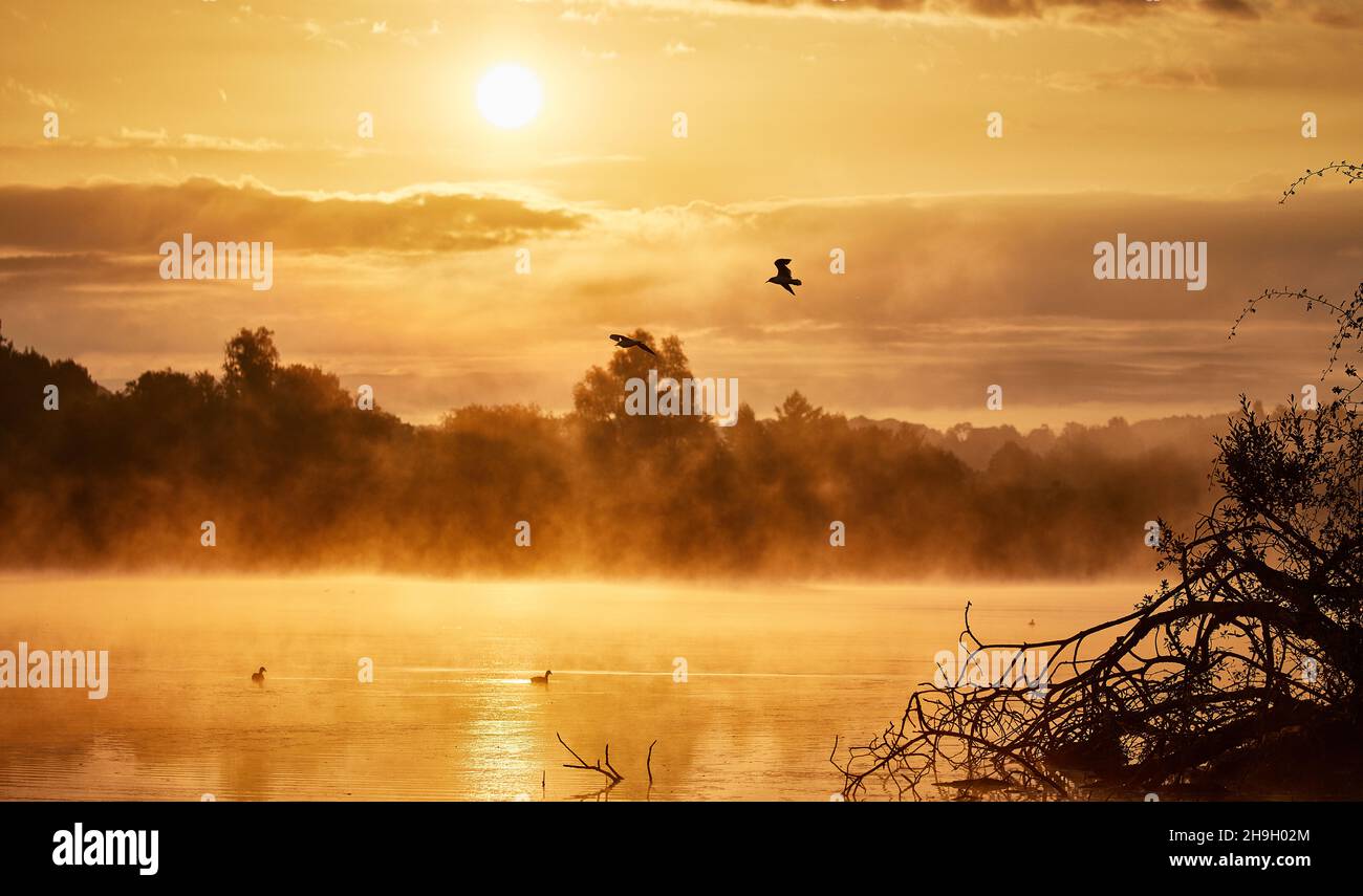 Little Marlow Sunrise across Lake Stock Photo - Alamy