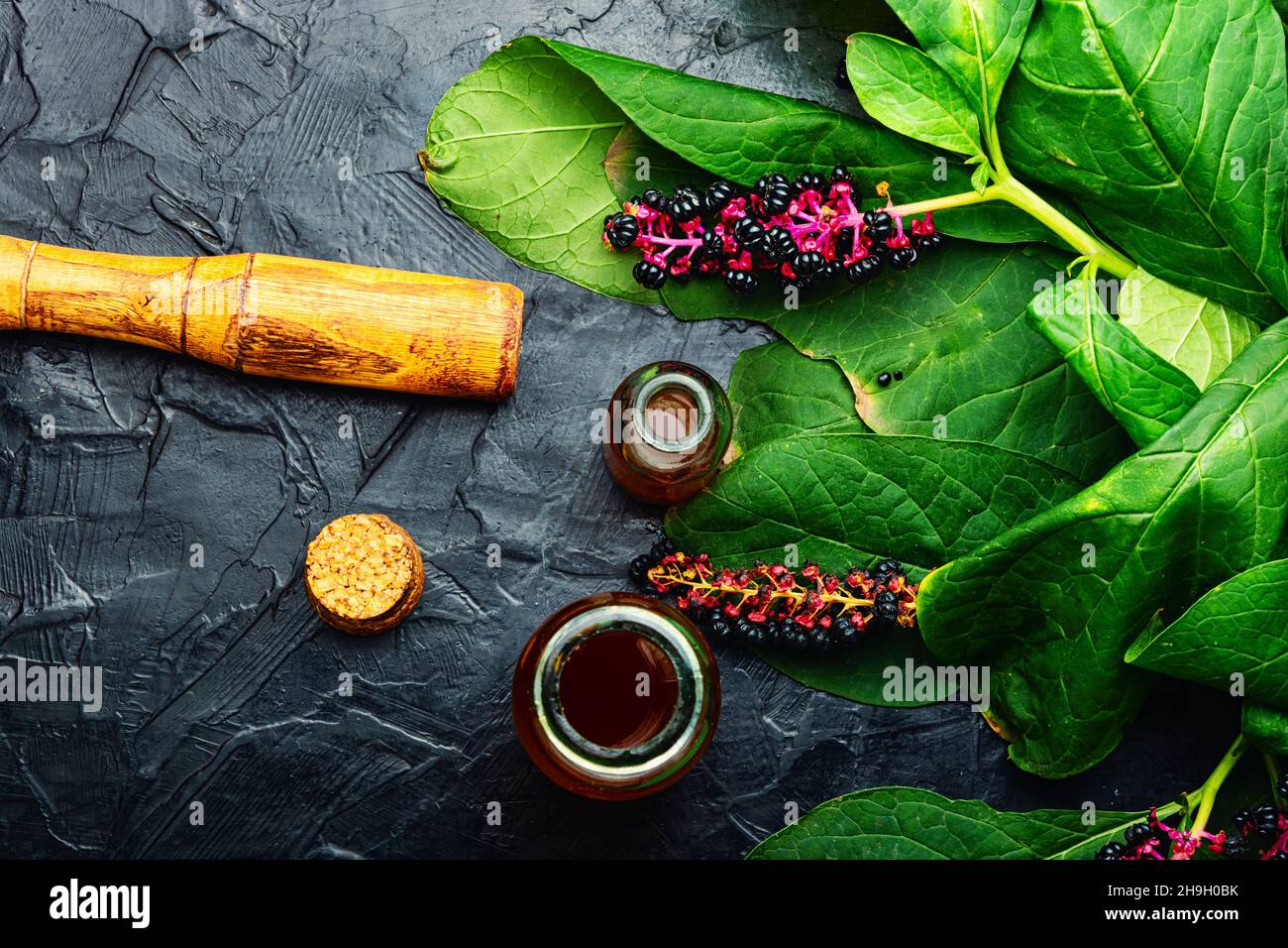 Healing tincture of lakonos,herbal medicine.Wild plant,pokeberry.Top ...