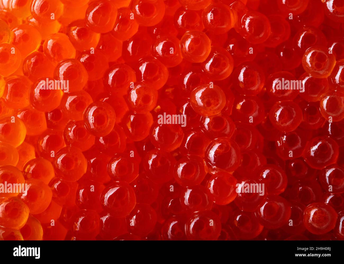 Red caviar macro shot hi-res stock photography and images - Alamy