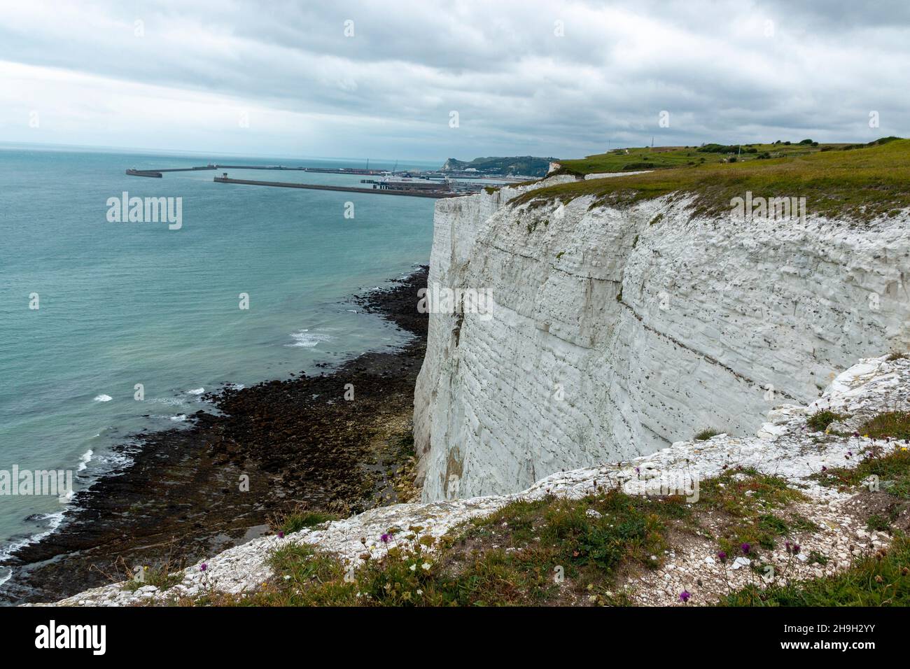 A close up view of the white cliff or Dover Stock Photo - Alamy