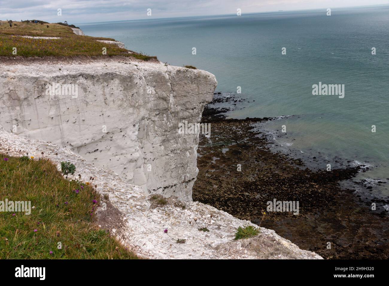 Cliff close up grass hi-res stock photography and images - Alamy