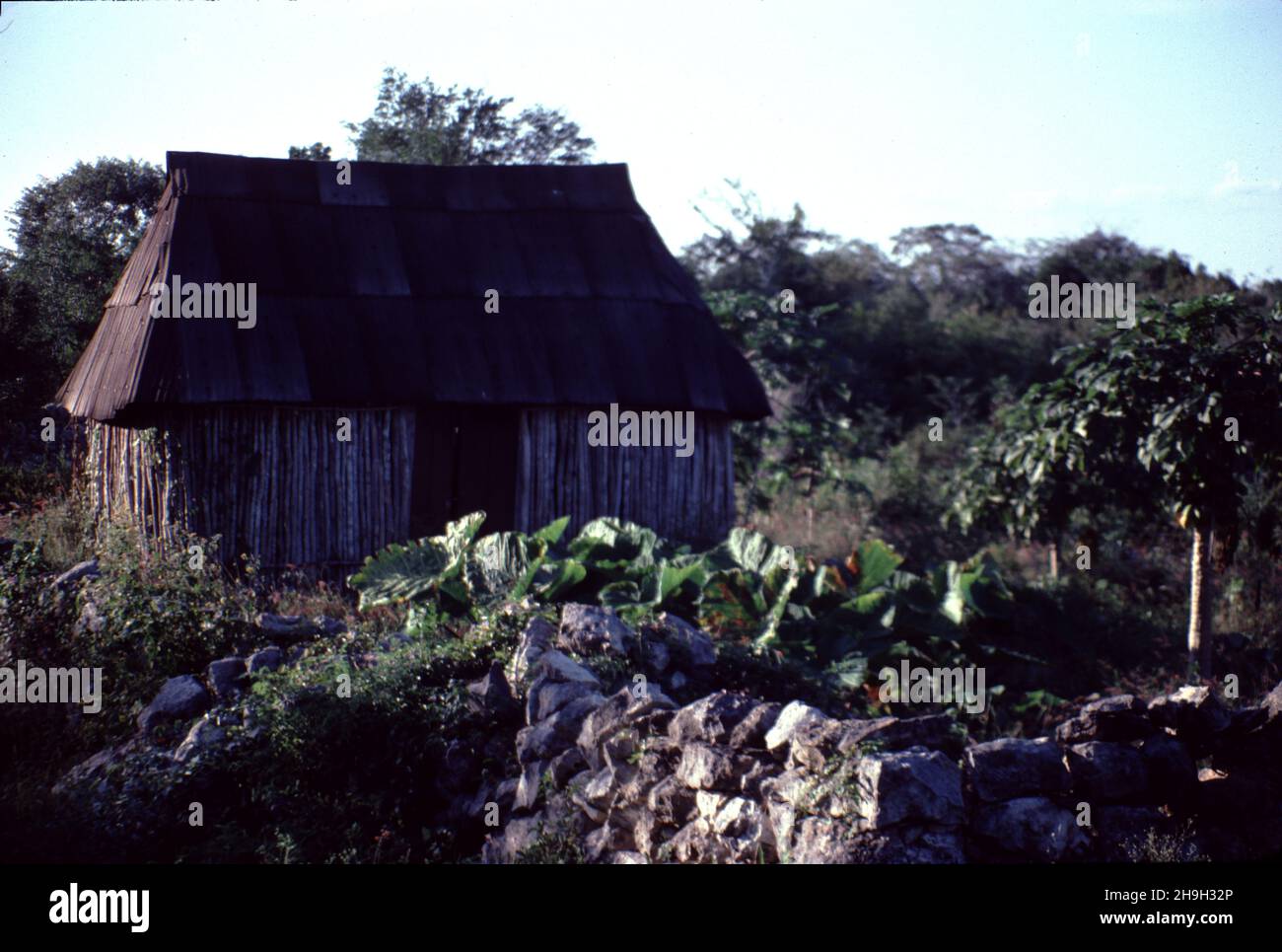 Maya thatched huts hi-res stock photography and images - Alamy