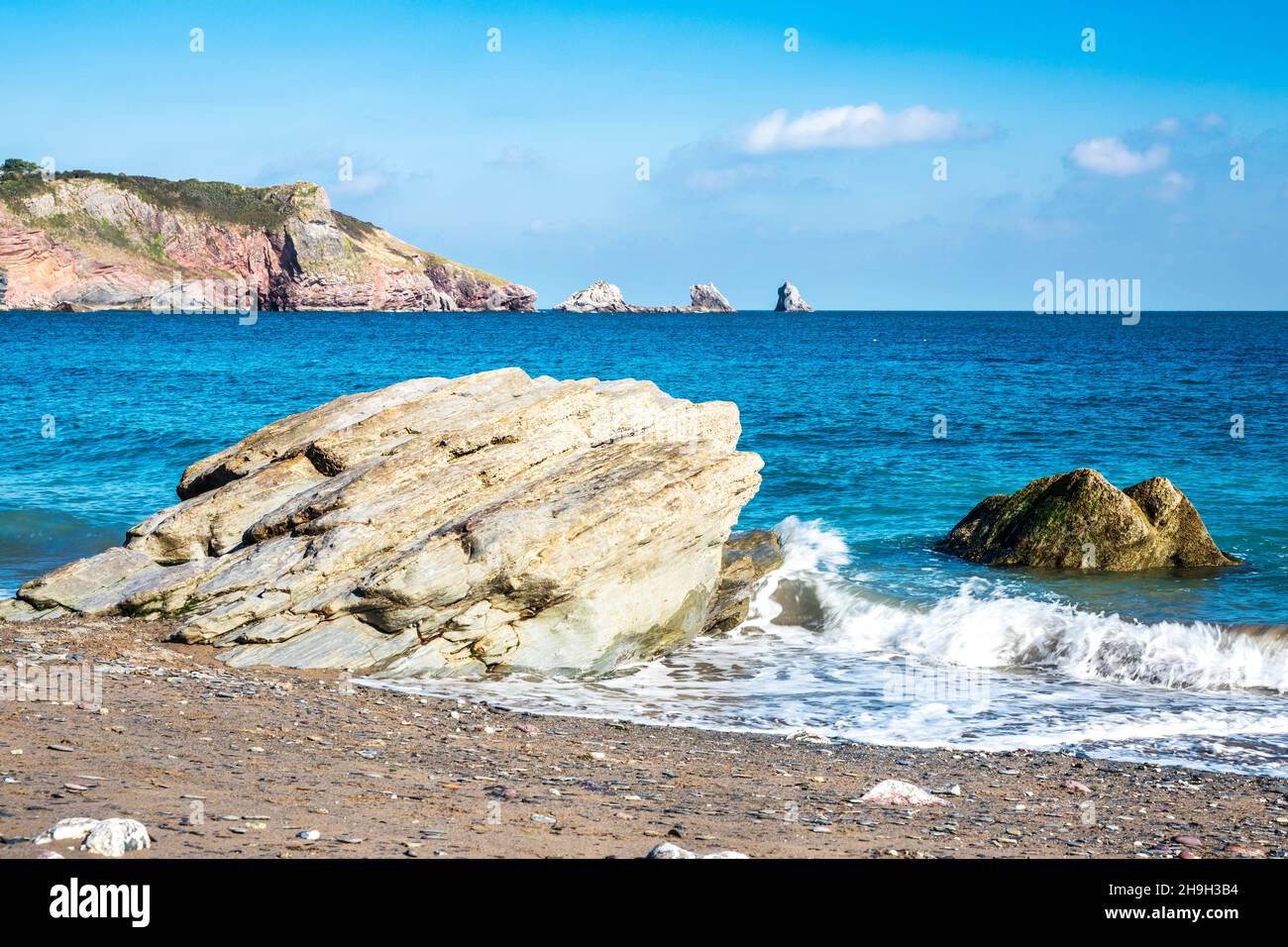 Berry head hi-res stock photography and images - Alamy