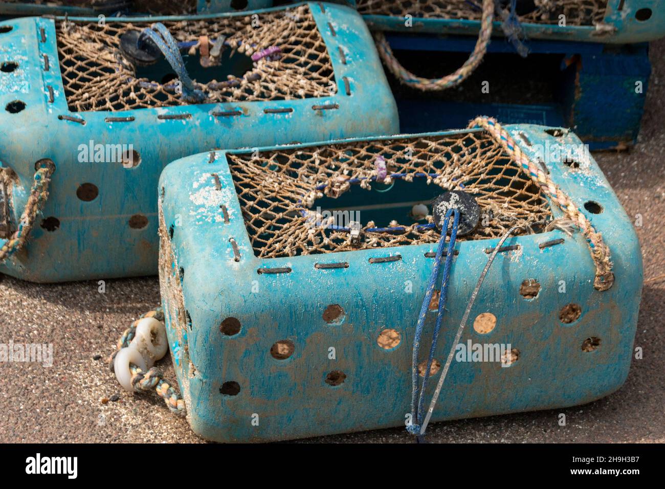 A close up view of crayfish and crab catching barrels Stock Photo - Alamy