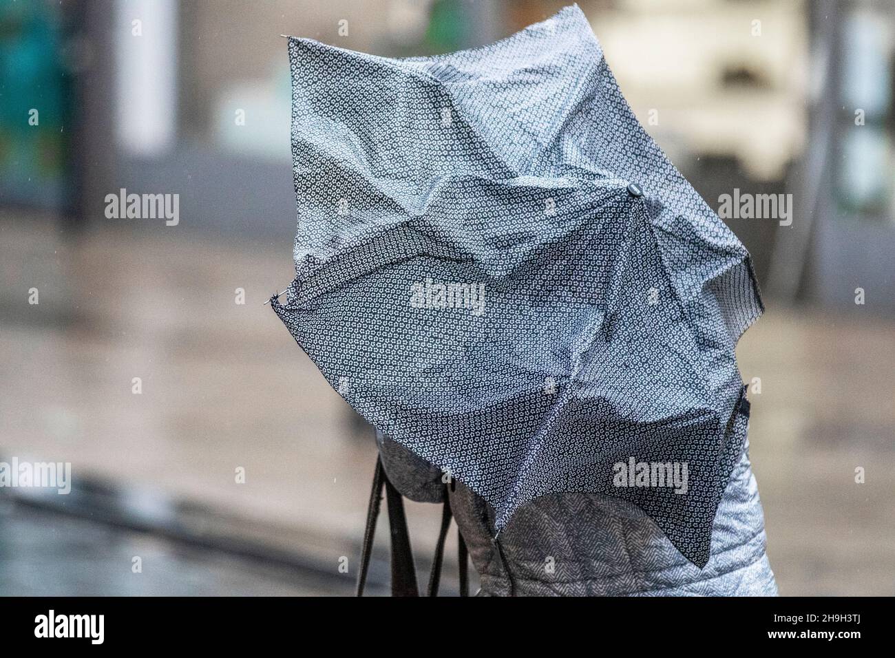 Strong winds and woman carrying inverted pink umbrella in Preston, Bent ...