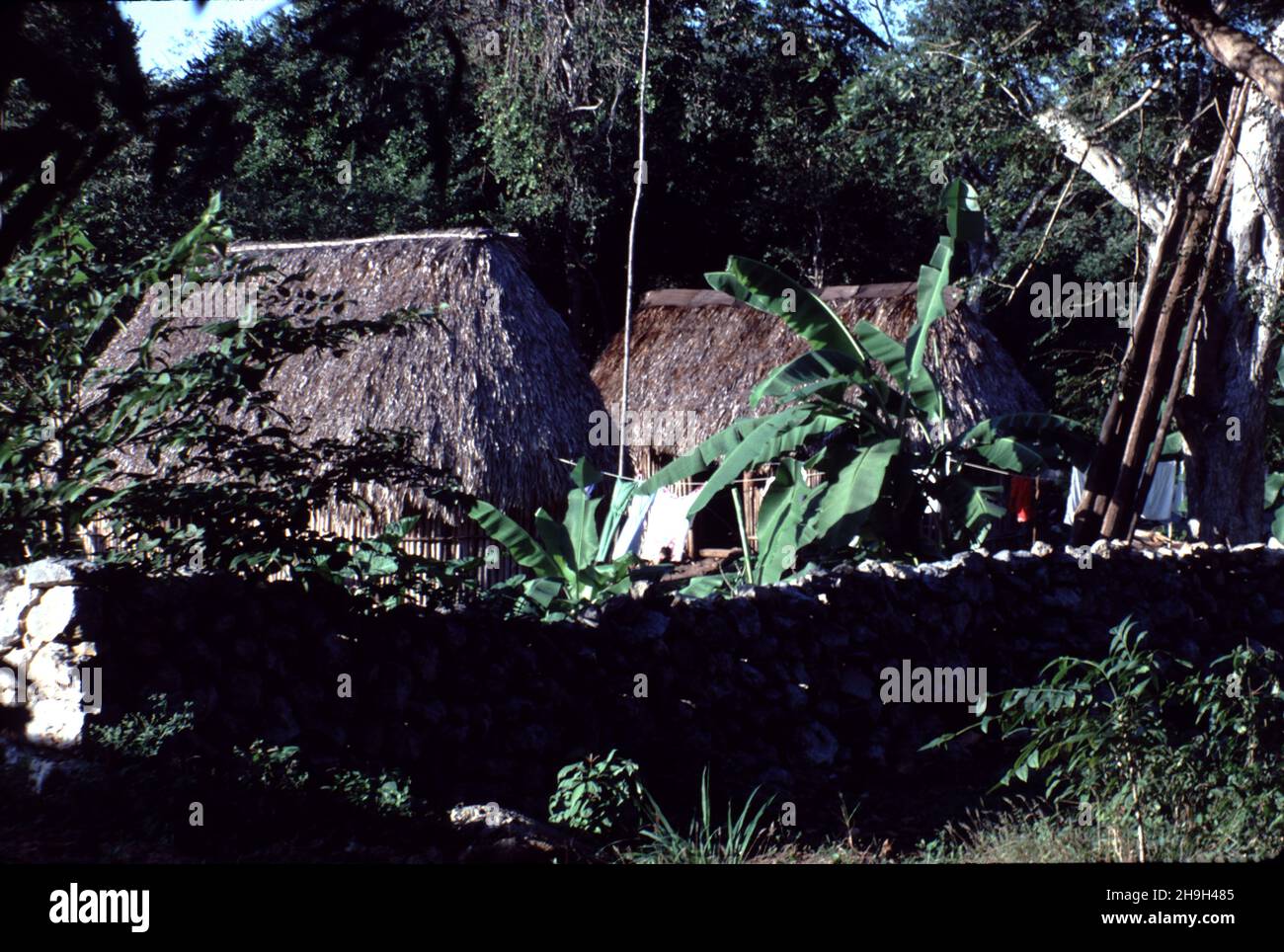 Maya thatched huts hi-res stock photography and images - Alamy