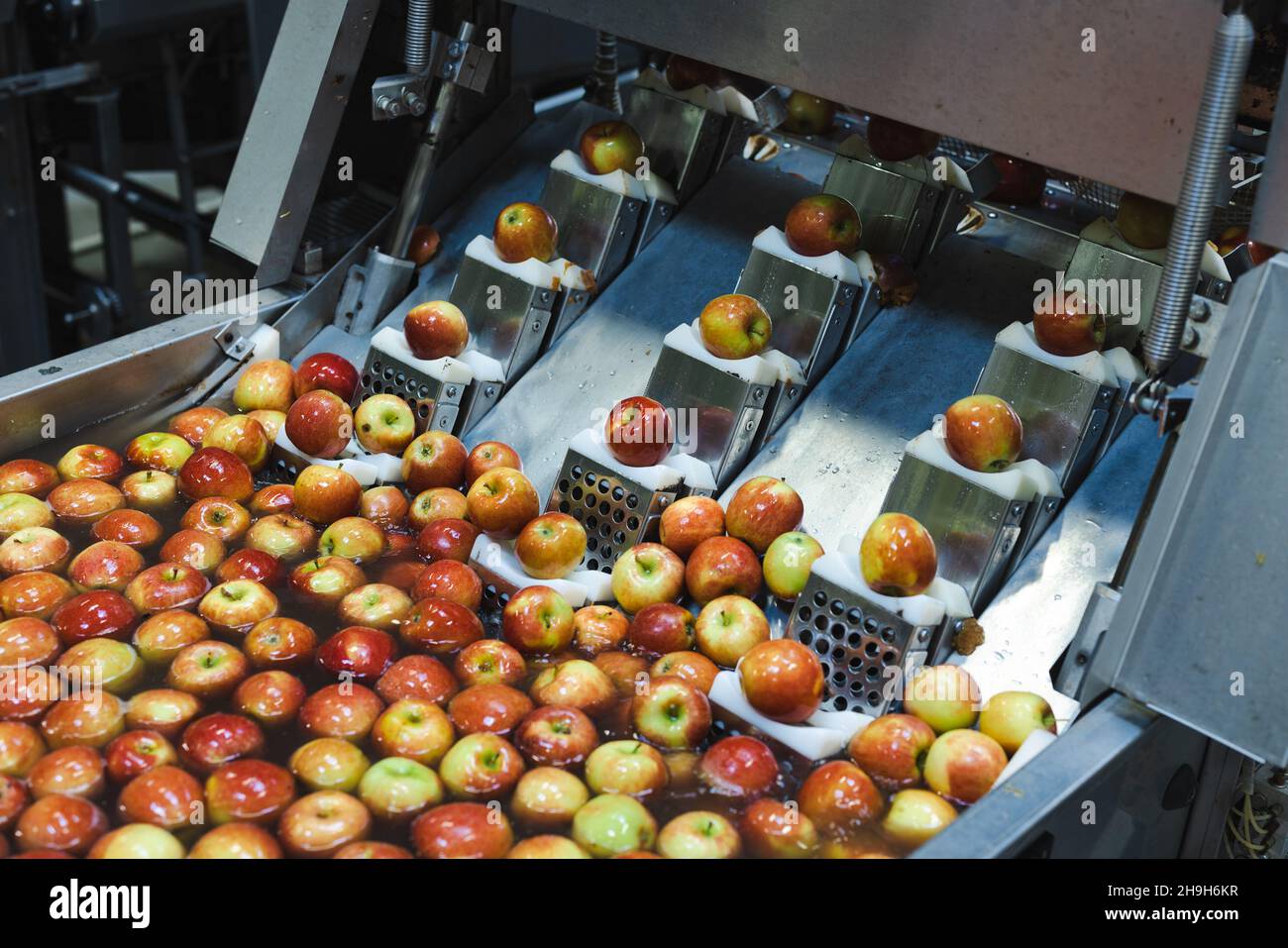 Clean and fresh apples before grating and cutting in food processing ...