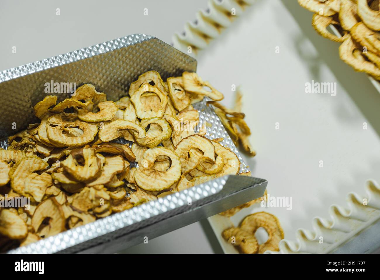 Sliced and dried apples on a conveyor belt in food processing facility ...