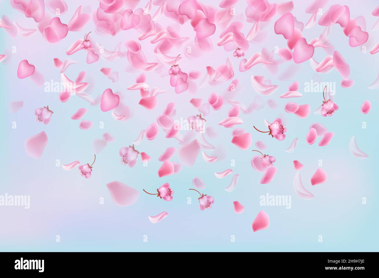 Nature horizontal background.Pink falling sakura petals and flowers ...