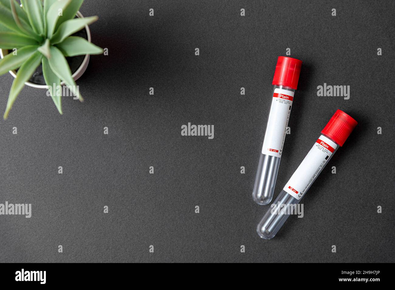 Two blood test tubes on black background with blank text area Stock ...