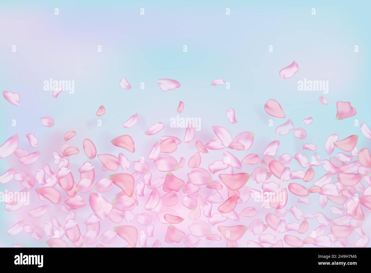 Nature horizontal background.Pink falling sakura petals and flowers ...