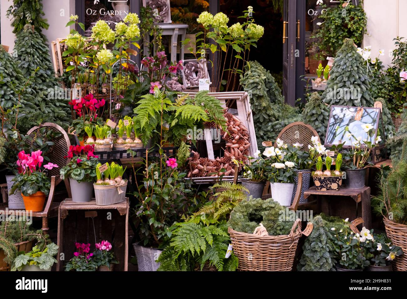 Florist shop in paris france hi-res stock photography and images - Alamy