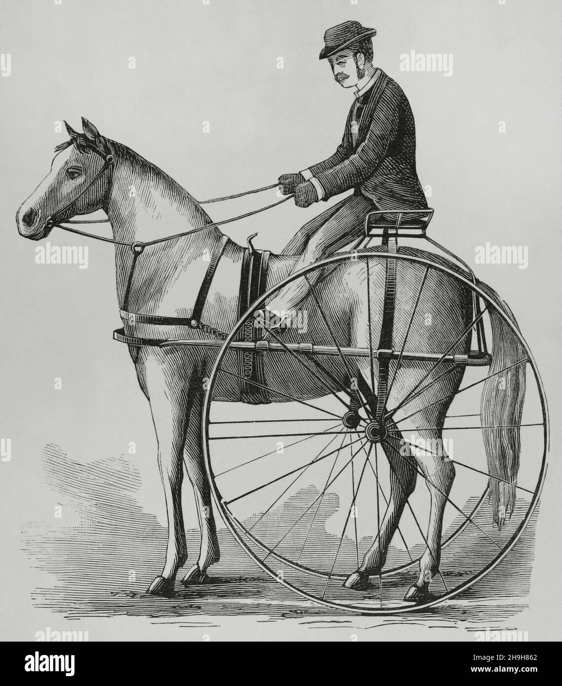 Animal powered vehicle hi-res stock photography and images - Alamy