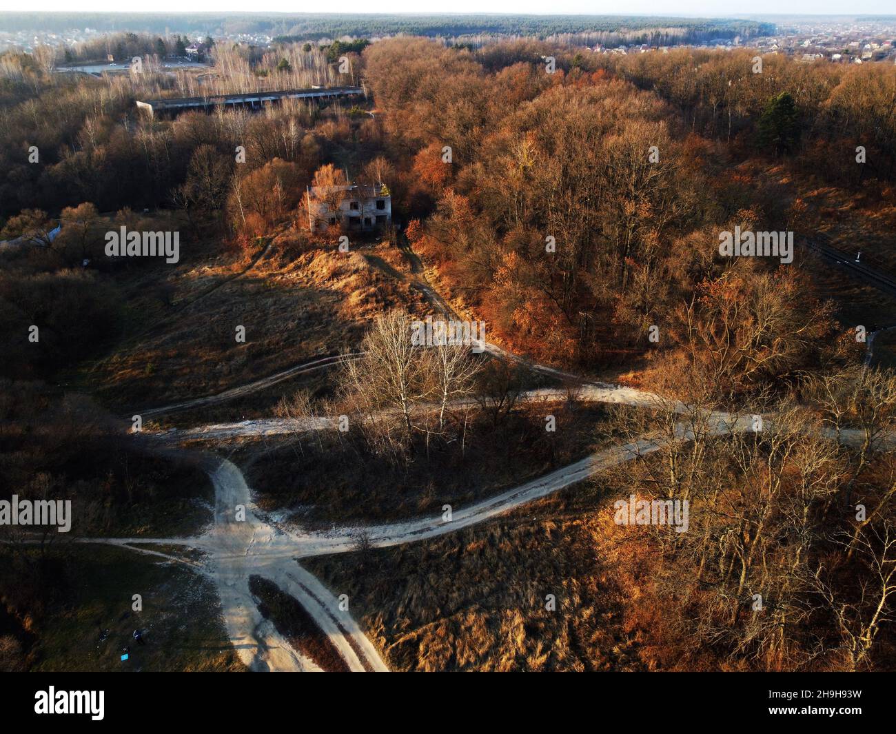 Late autumn forest hi-res stock photography and images - Alamy