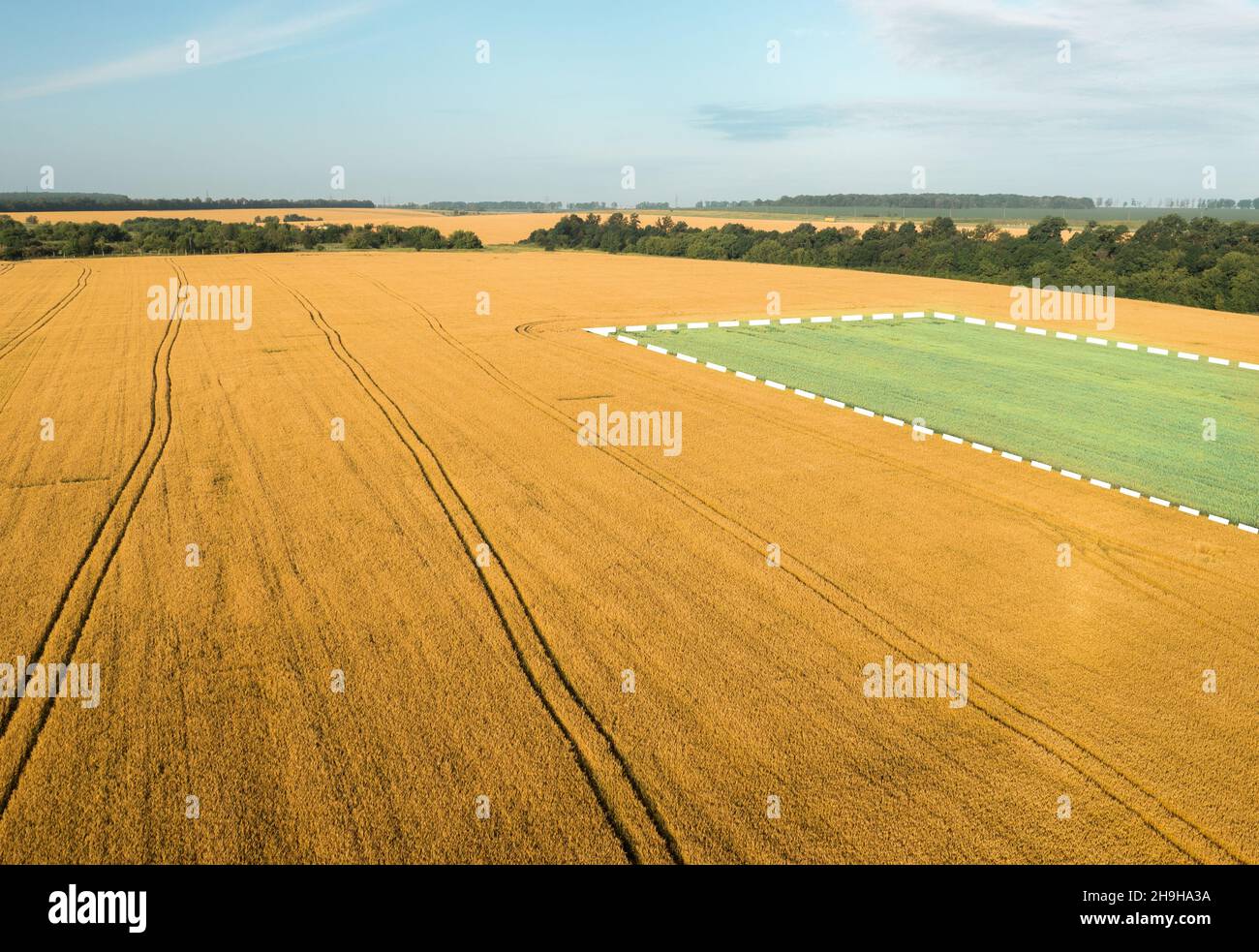 Topographic map of Field plot for Sale. Topographic shot of green oat ...