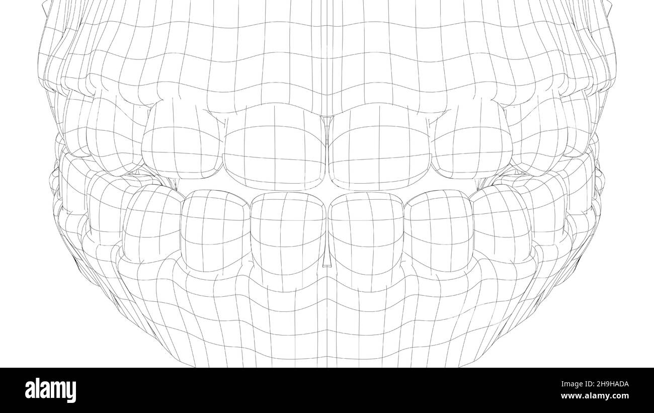 Wire-frame 3D teeth close up Stock Photo - Alamy