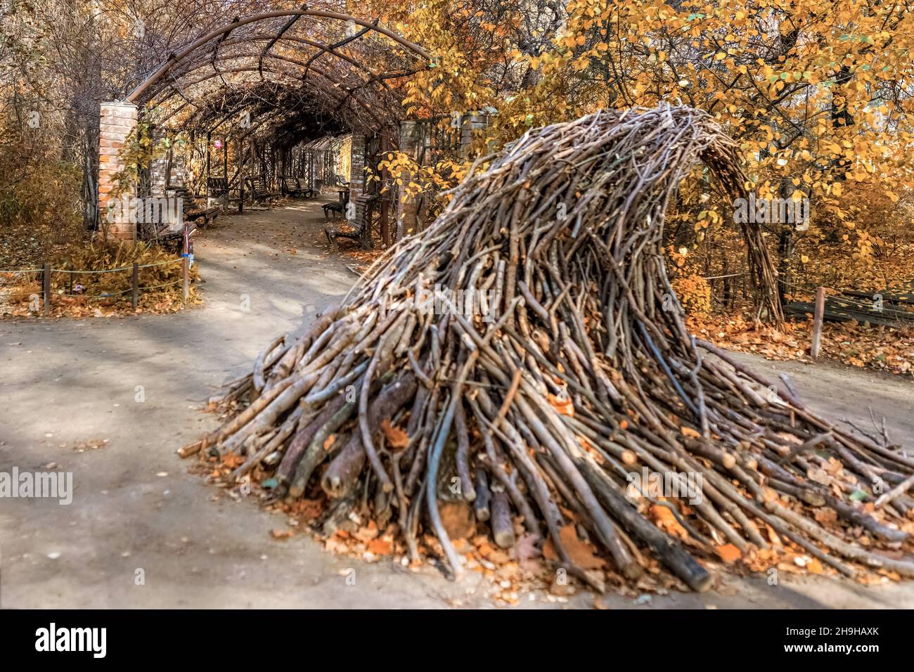 Installation of logs in front of a gazebo wrapped in a vine in an ...