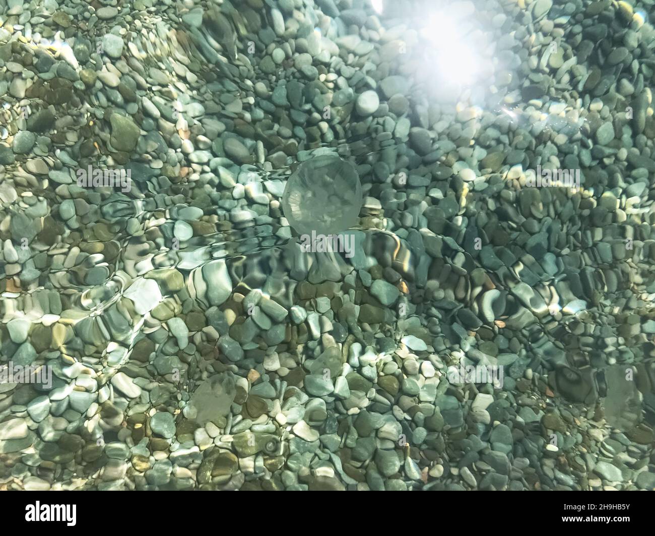 Background of the sea floor with pebbles and jellyfish Stock Photo - Alamy