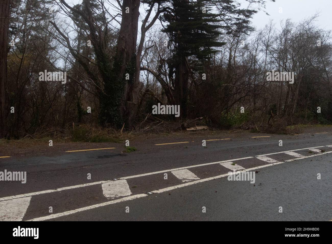 Tuesday 7 Dec, Bantry West Cork, Ireland; Storm Barra hit land this ...