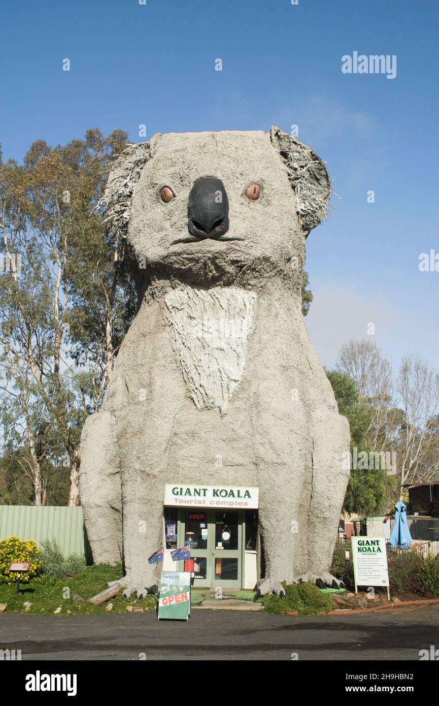 The famous Giant Koala building, one of Australia's big things, located ...