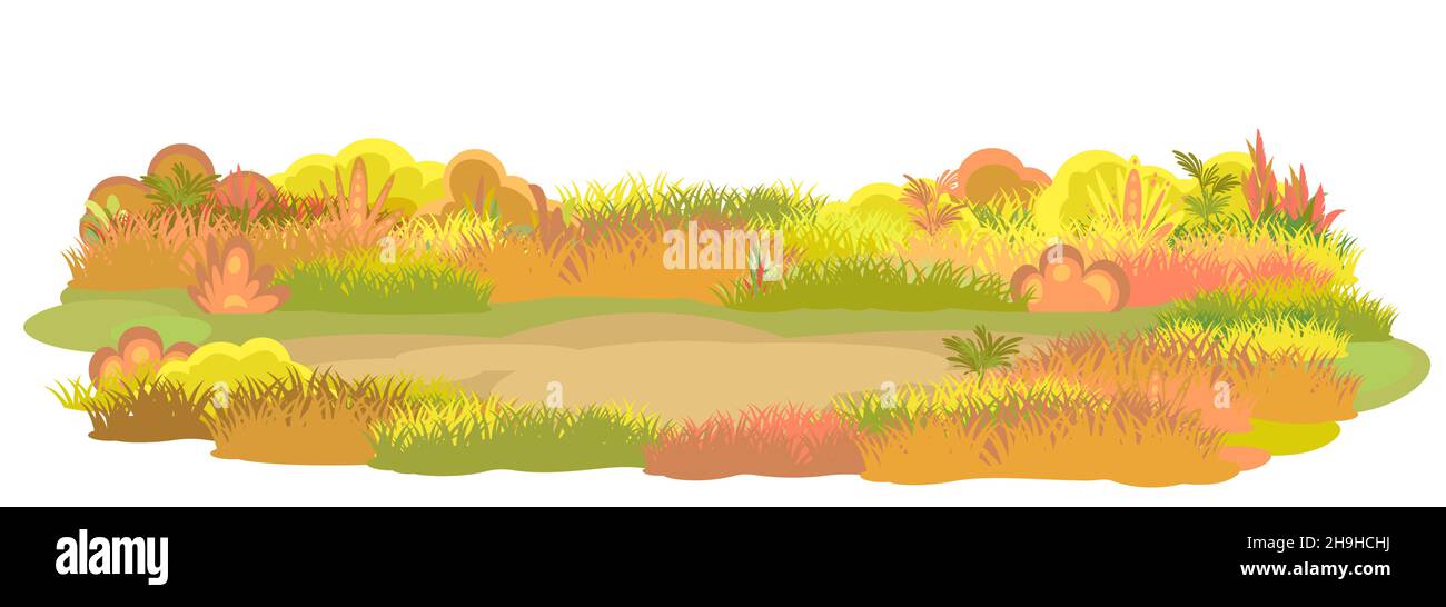 Meadow. Autumn grassy glade. Grass close up. Place. Rural beautiful ...