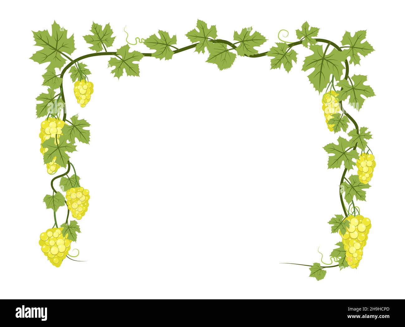 Rectangular Frame. Vine with foliage and bunches of grapes. Viticulture ...