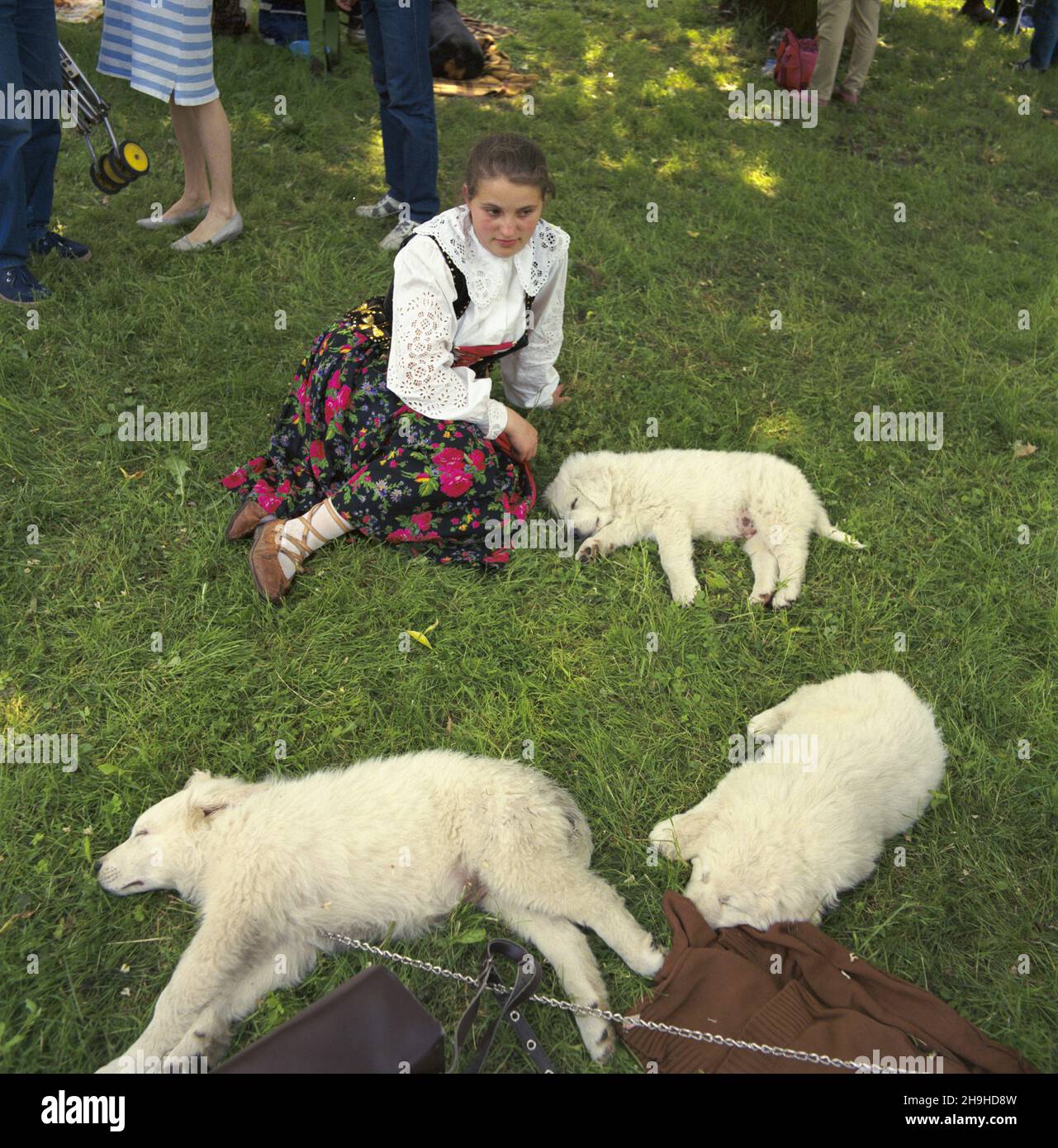Podhalanski stroj ludowy hi-res stock photography and images - Alamy