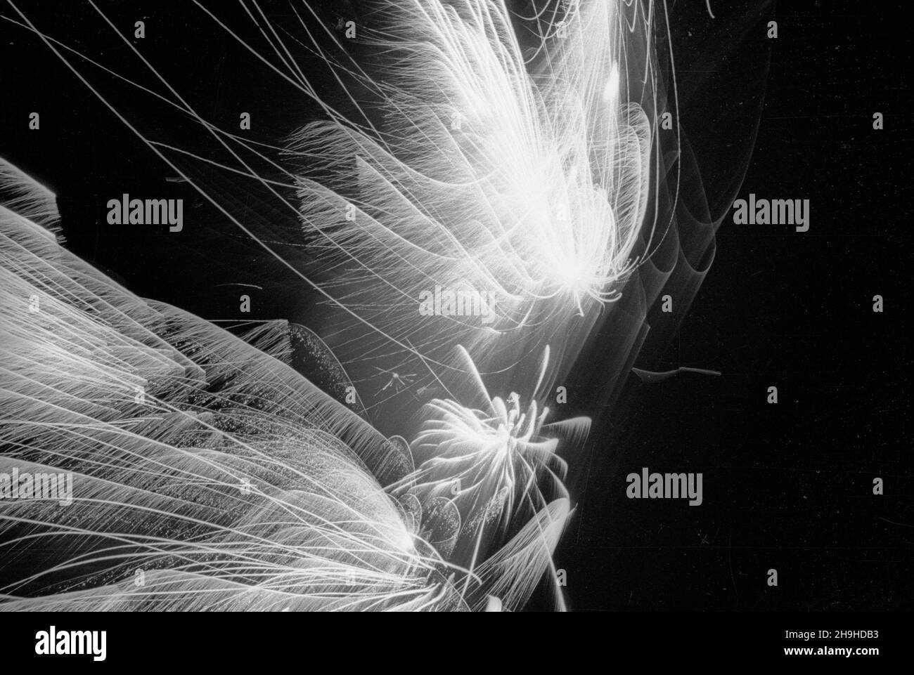 Firework cascade hi-res stock photography and images - Alamy