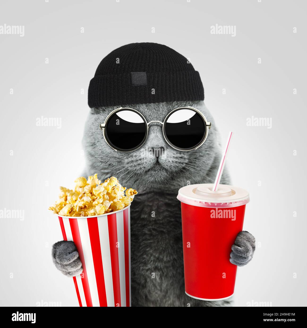 Popcorn cat hi-res stock photography and images - Alamy