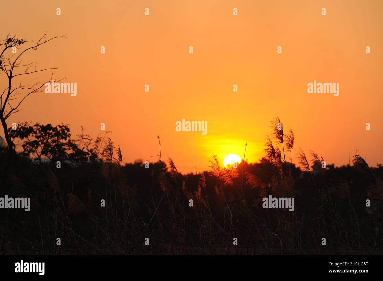 Romantic sunset hi-res stock photography and images - Alamy