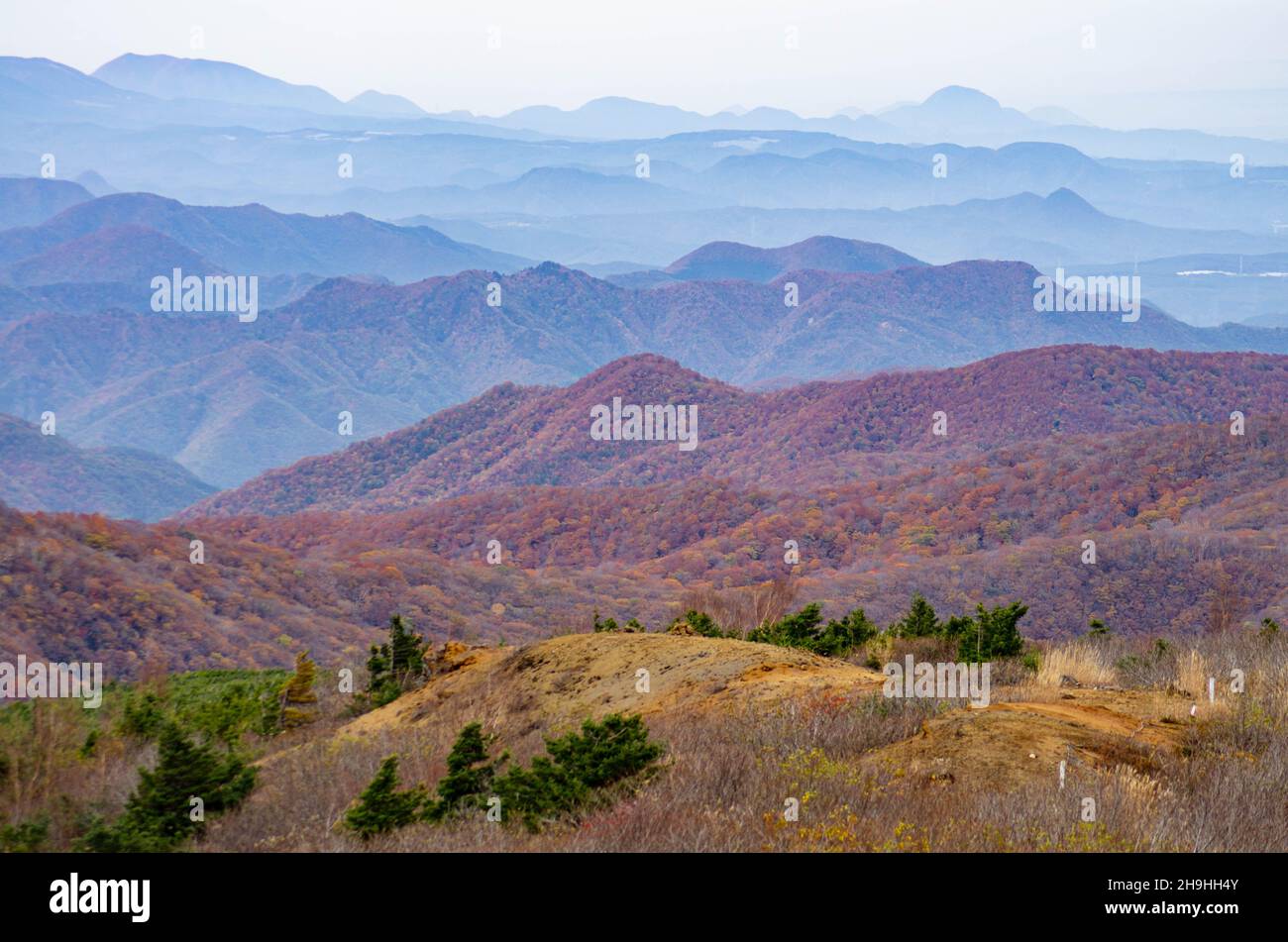 Road miyagi prefecture japan hi-res stock photography and images - Alamy
