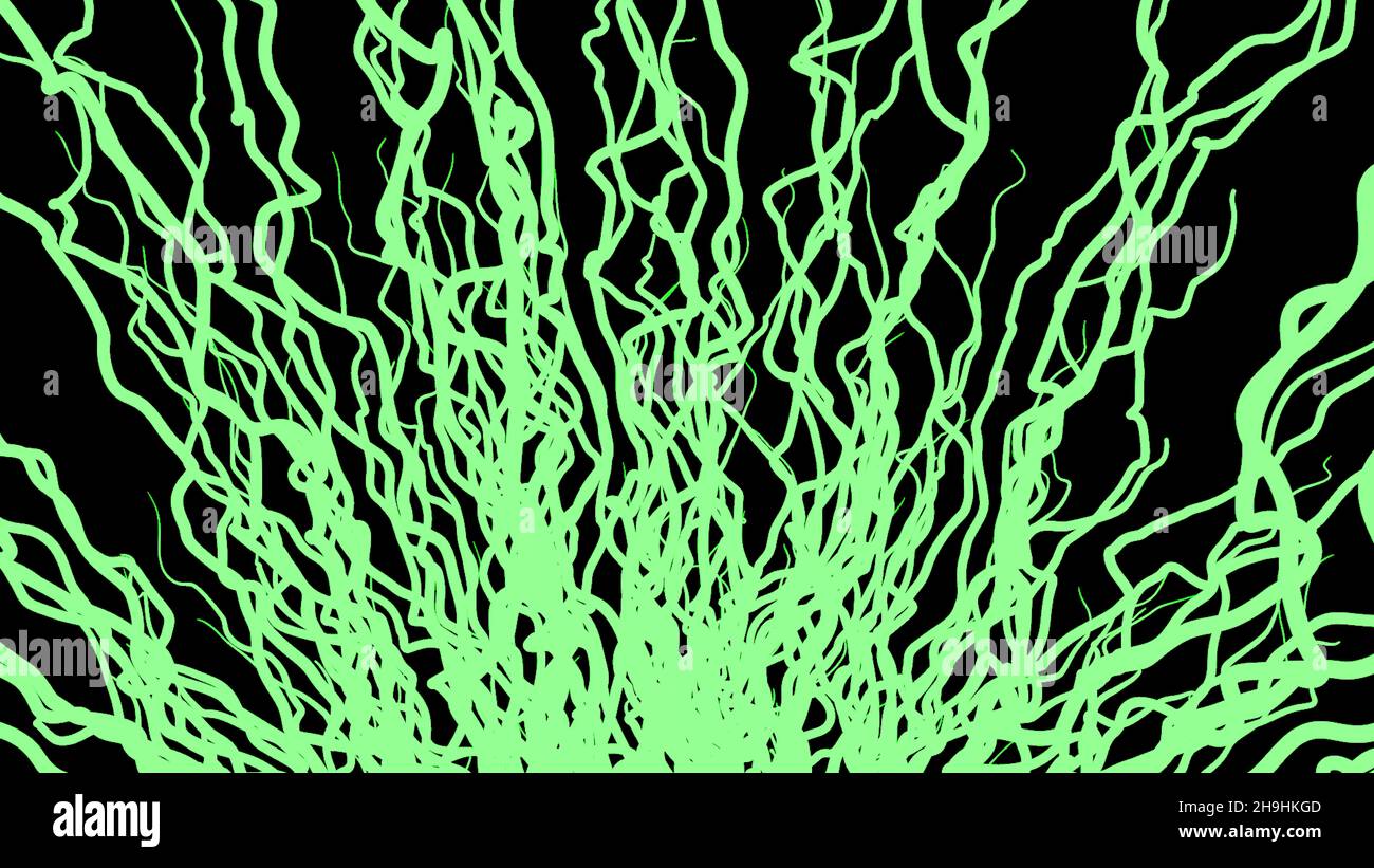 Moving growing roots on black background. Animation. Abstract animation ...