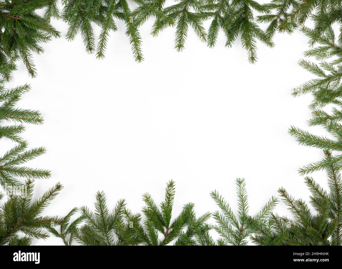 Simple Christmas frame made of fir branches on white background Stock ...