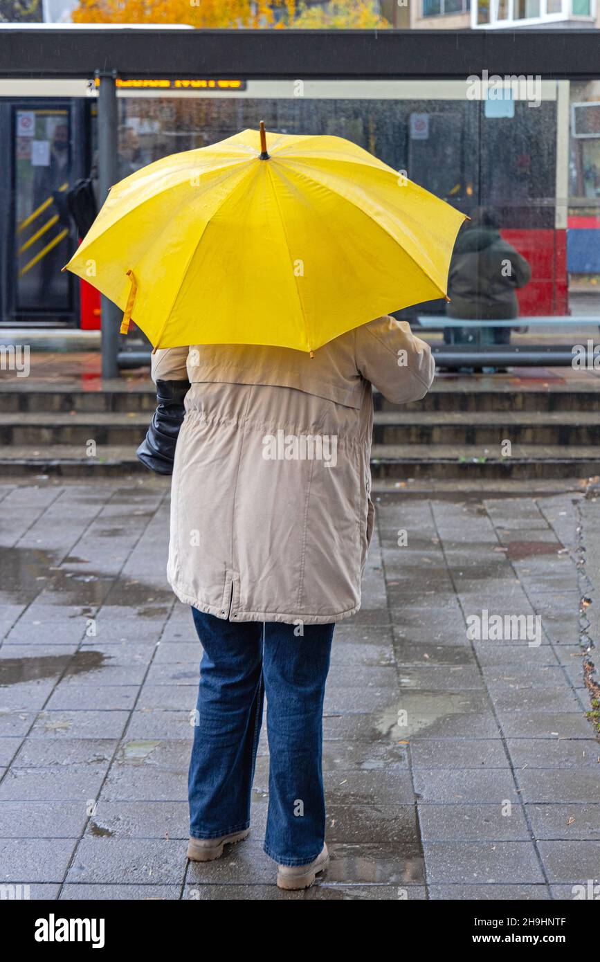 Yellow Umbrella In Rain