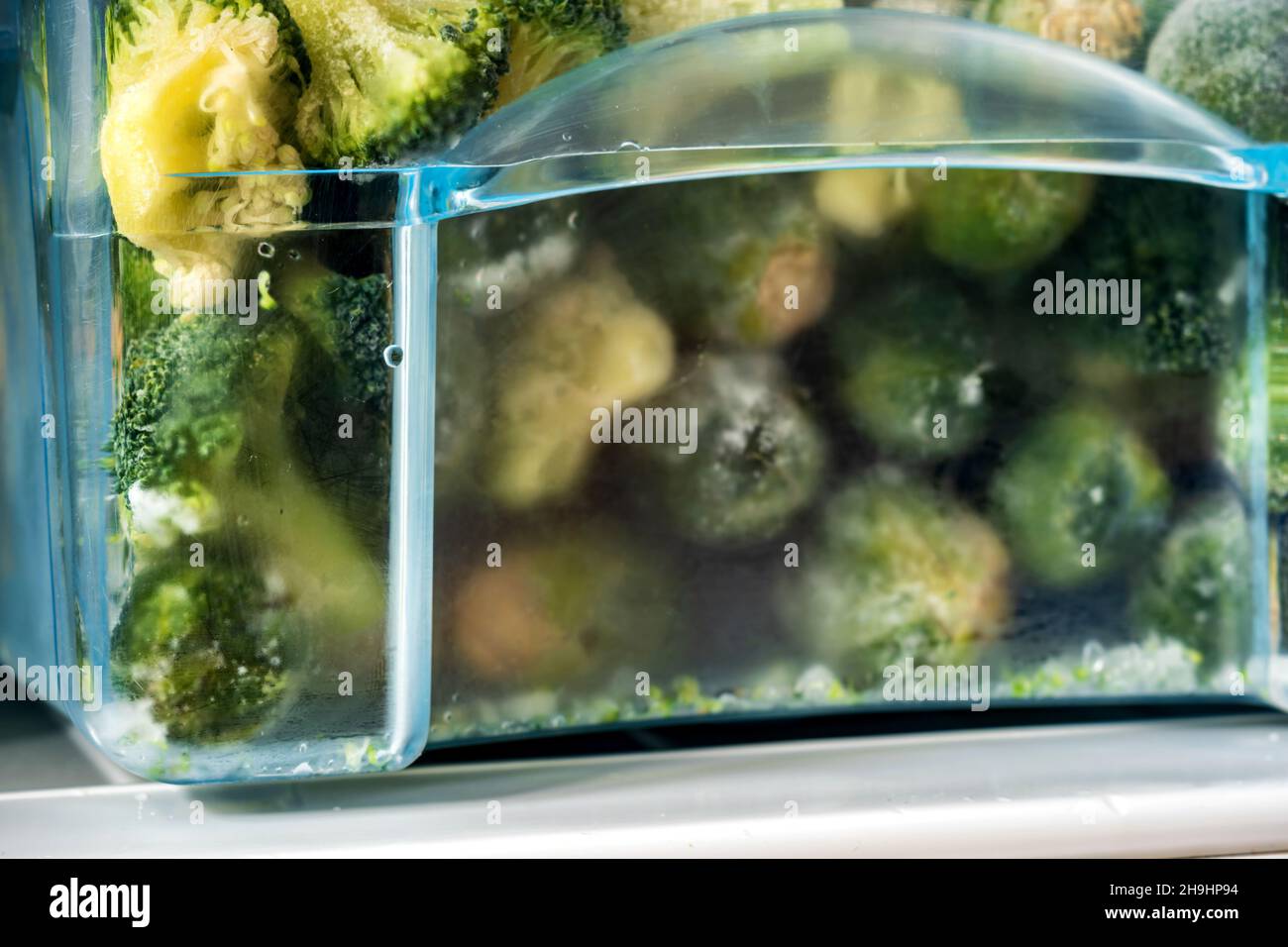 frozen broccoli florets and brussel sprouts inside freezer fridge ...