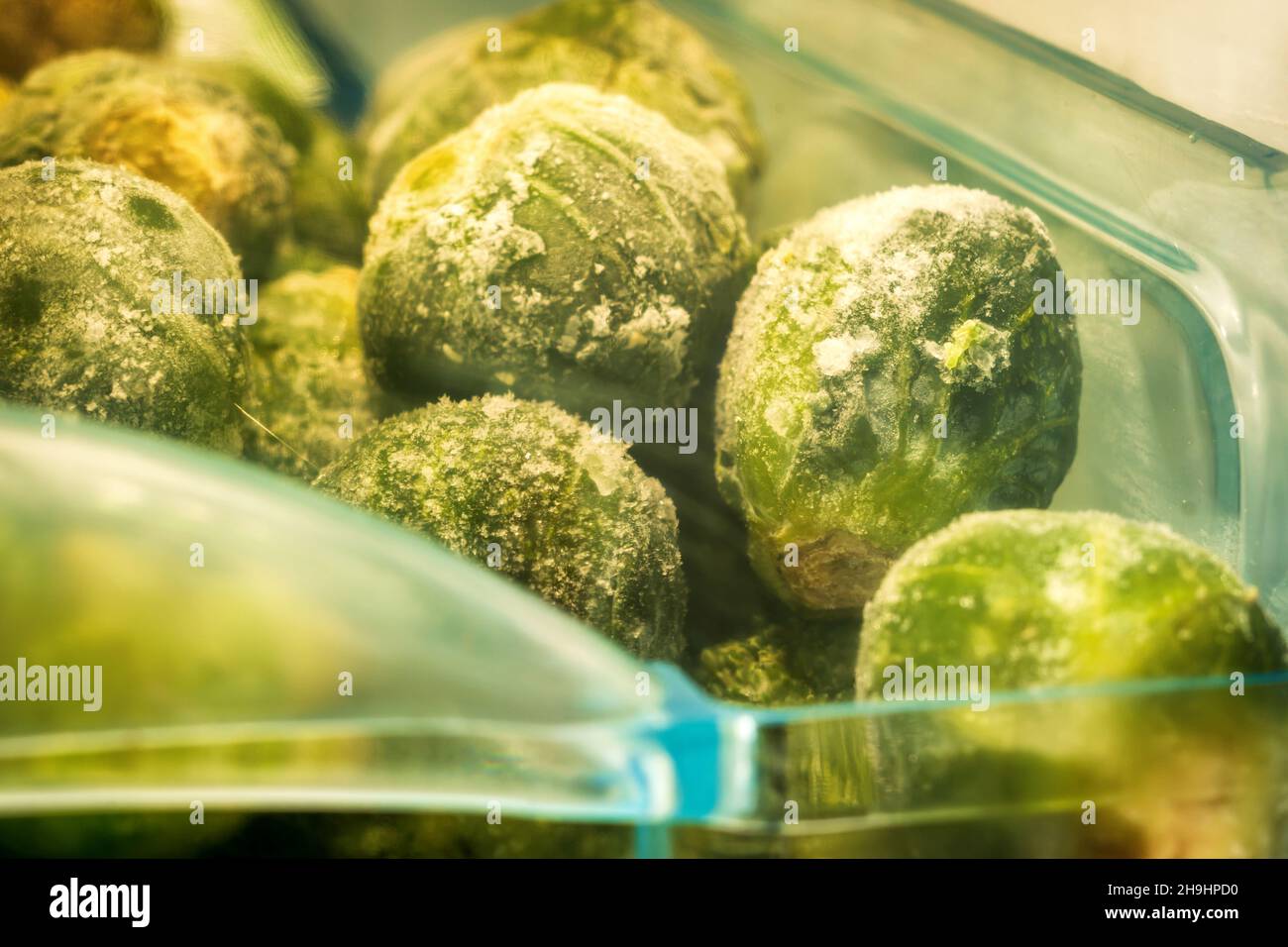 frozen broccoli florets and brussel sprouts inside freezer fridge ...