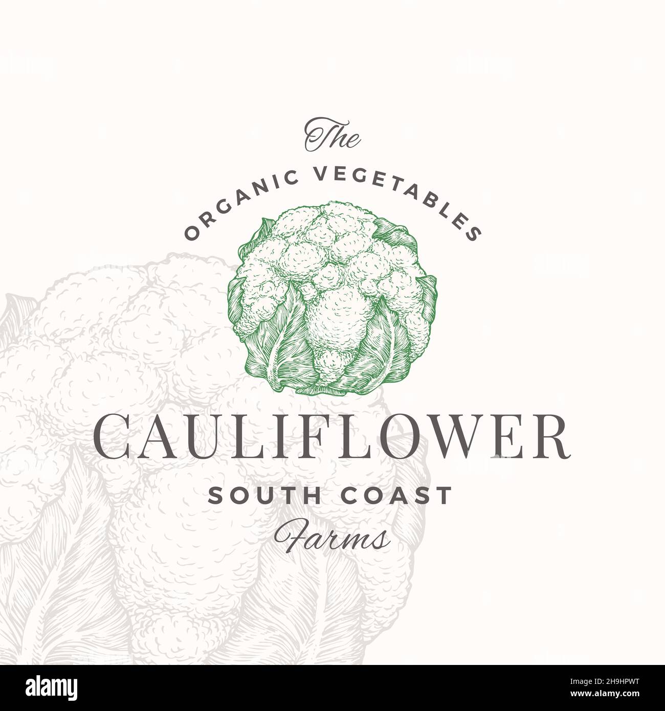 Cauliflower Badge or Logo Template. Hand Drawn Vegetable Sketch with ...