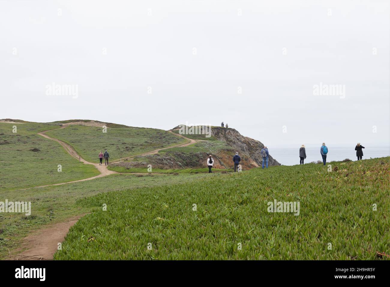Grass on cliff edge hi-res stock photography and images - Alamy