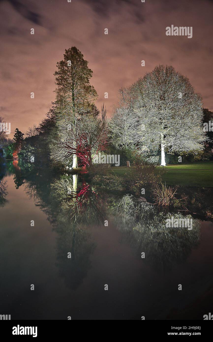 Enchanted scenes hi-res stock photography and images - Alamy