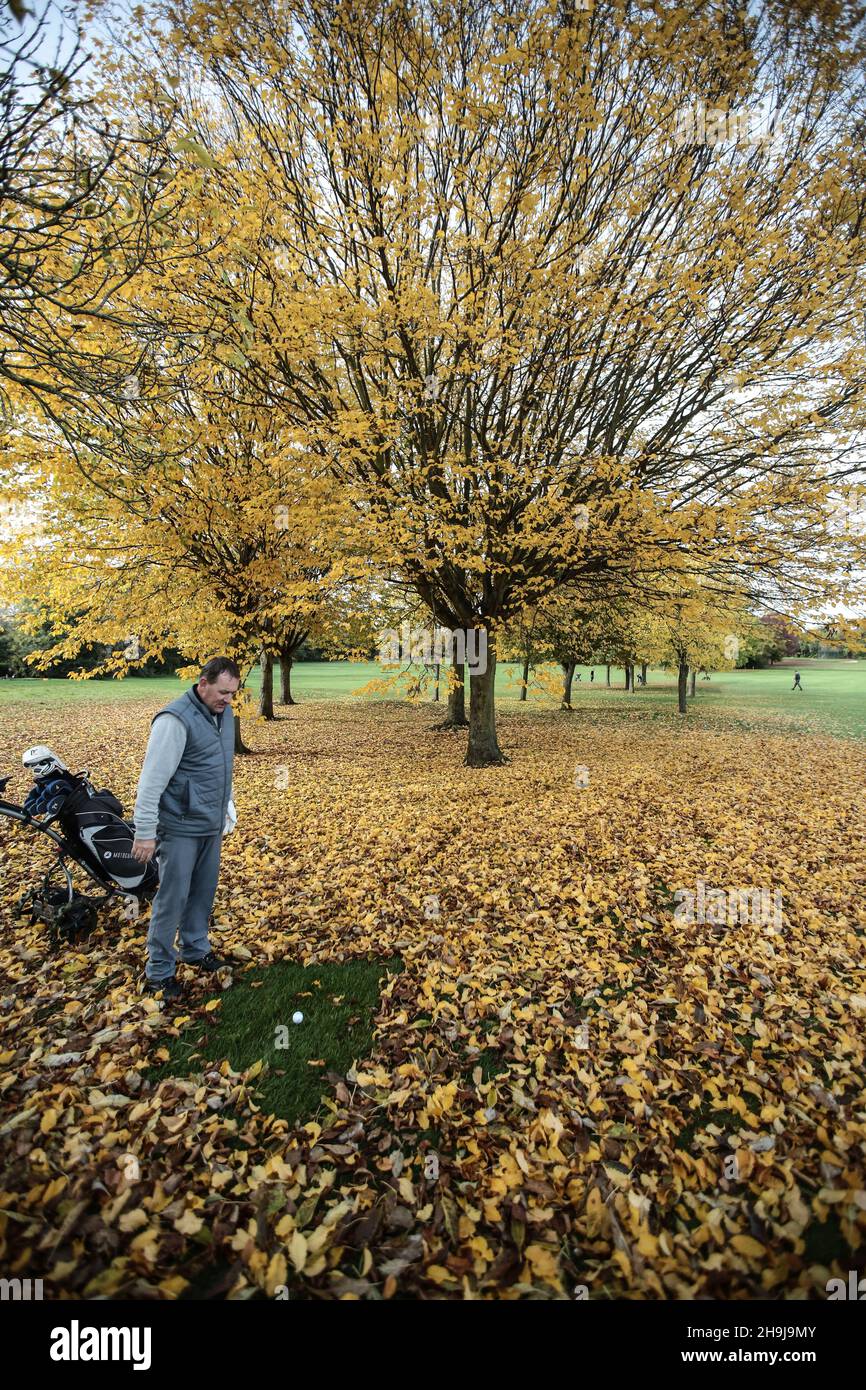 Autumn golfing scenes on Brent Valley golf course in west London Stock ...