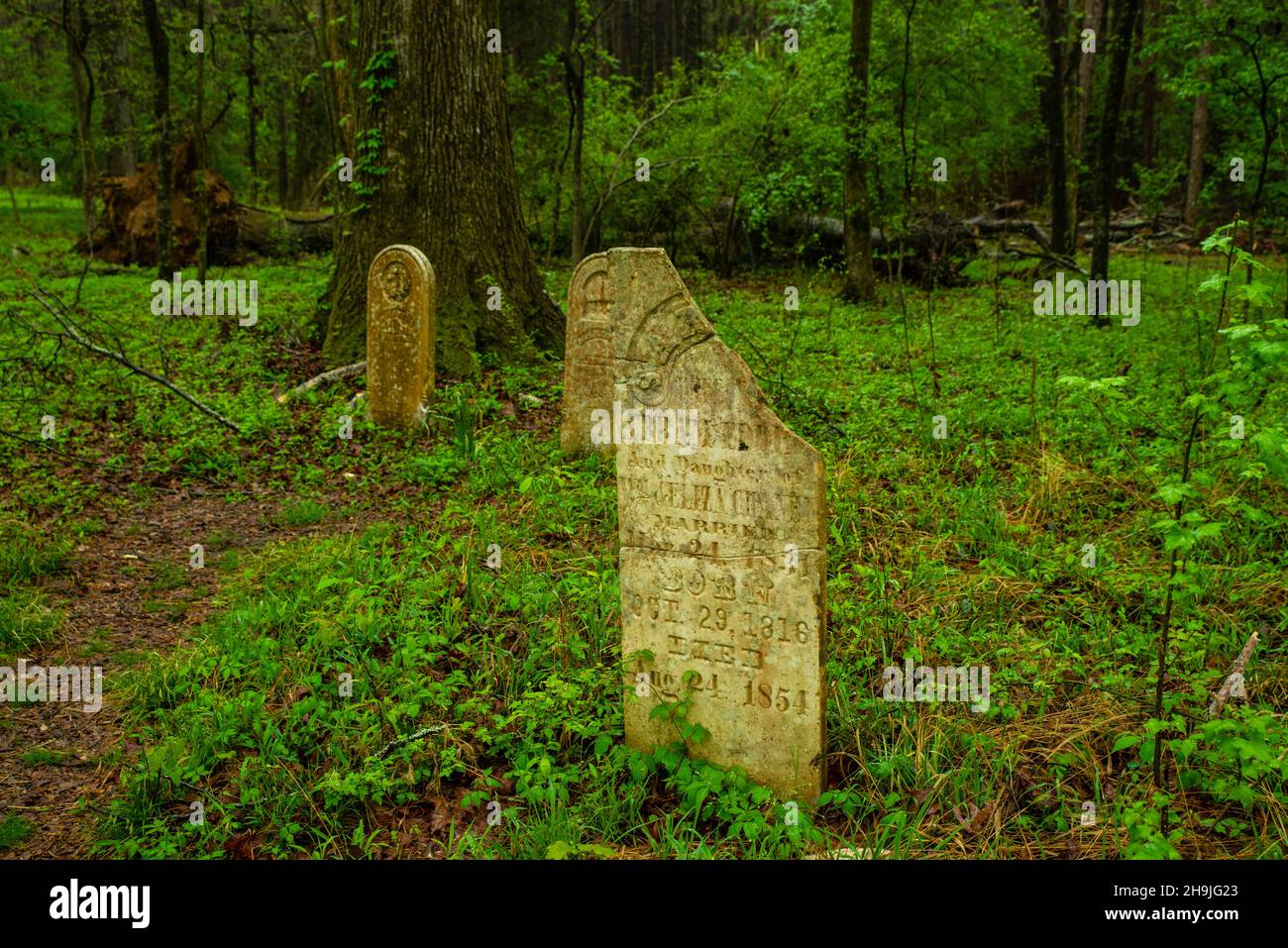 Ford park cemetery hi-res stock photography and images - Alamy