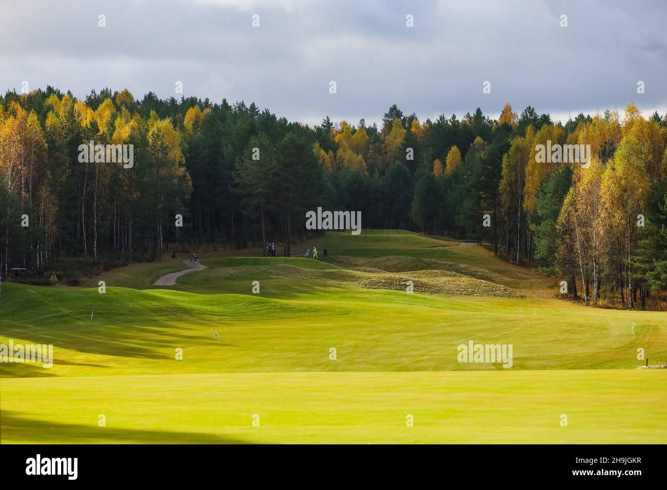 Golf course, landscape, green grass on the background of the forest and ...