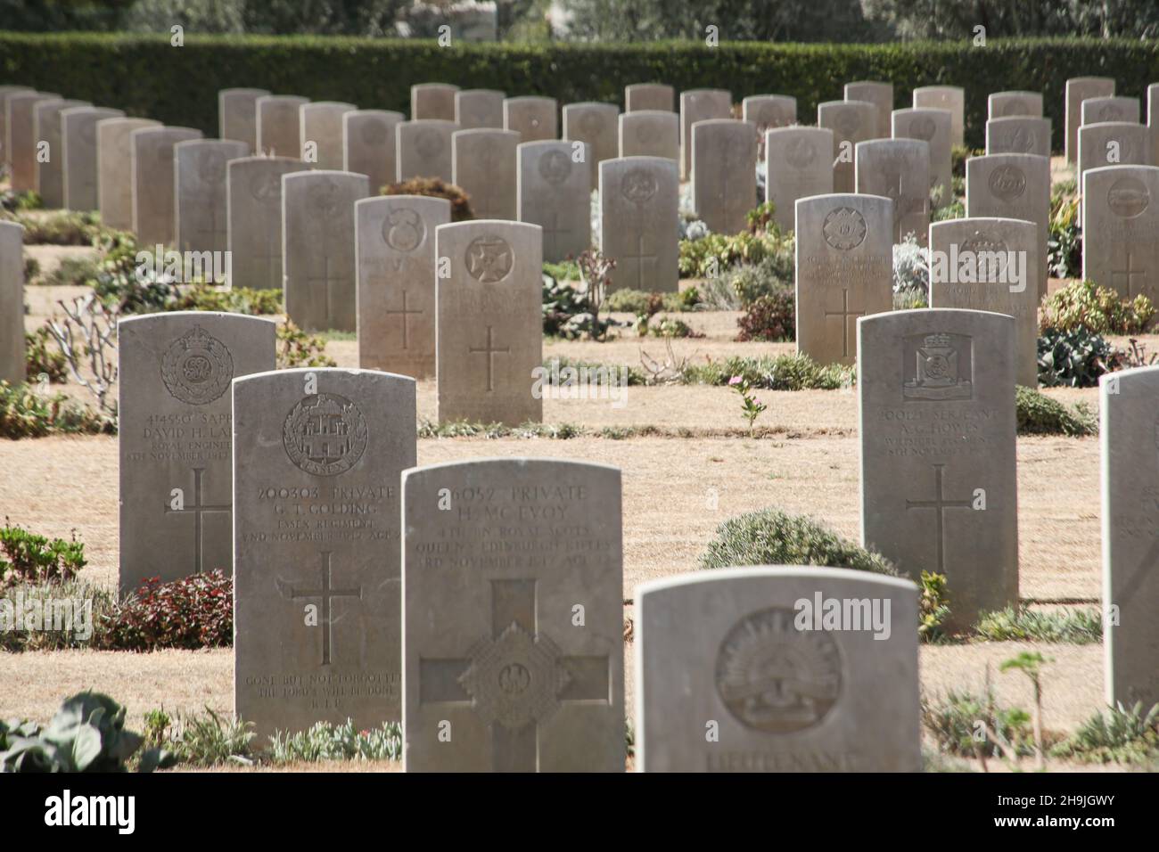 Views of a first world-war British cemetery in Gaza. From a series of ...