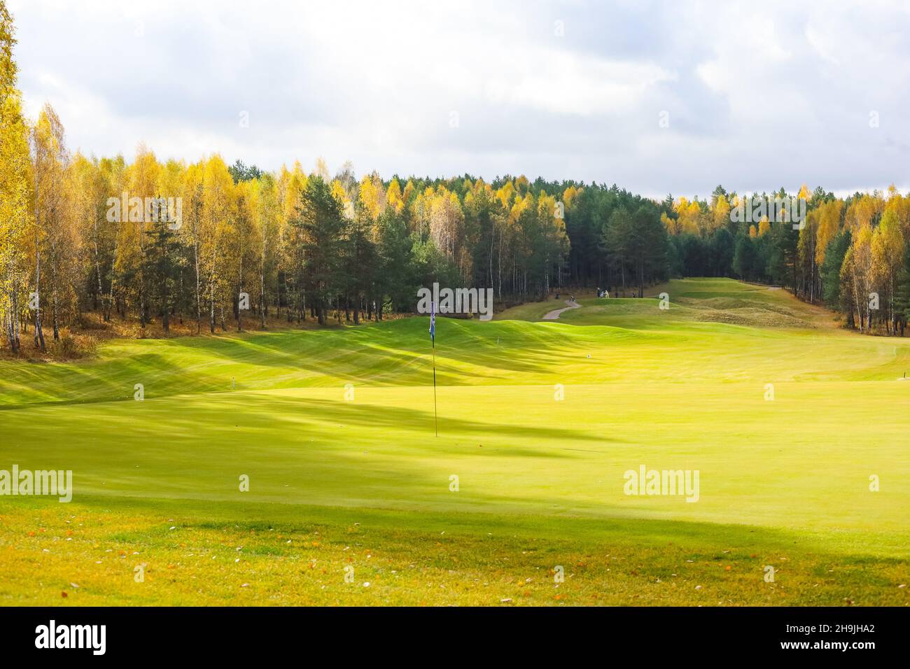 Golf course, landscape, green grass on the background of the forest and ...