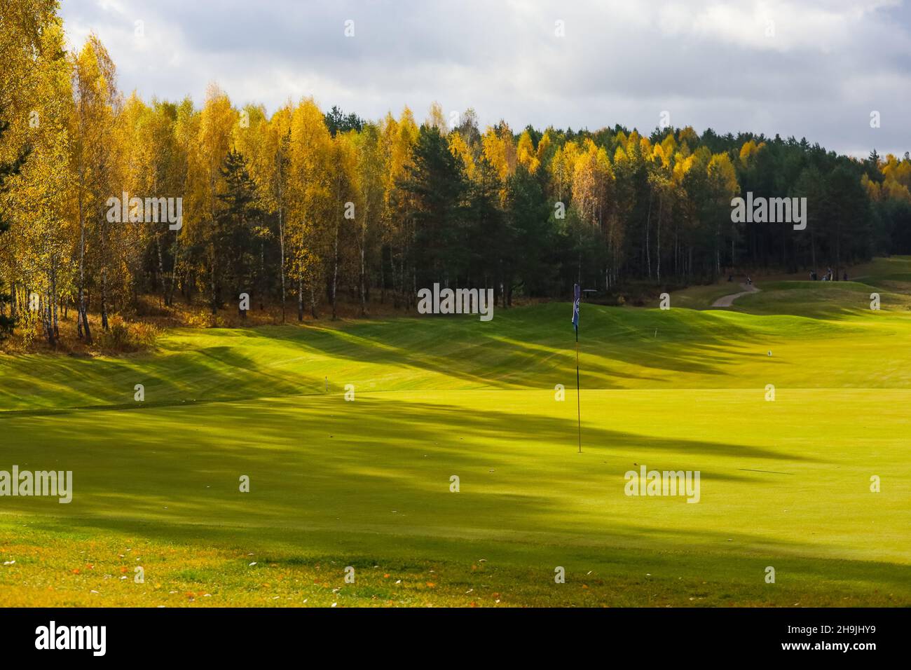 Golf course, landscape, green grass on the background of the forest and ...