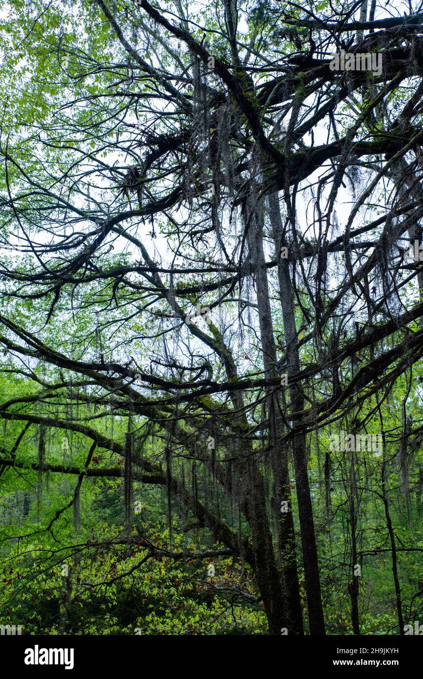 Rocky springs natchez trace parkway hi-res stock photography and images ...