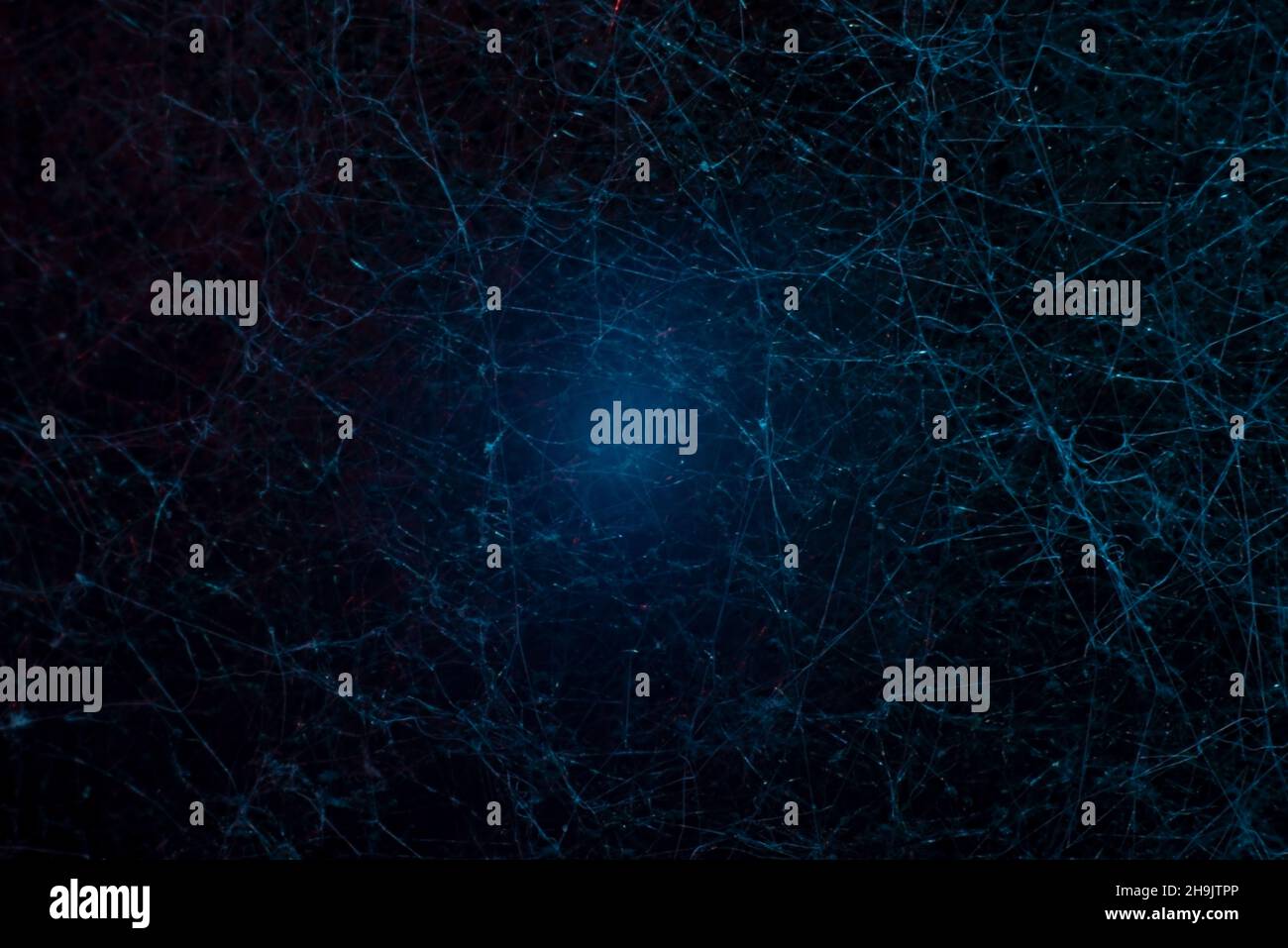 macro photography abstract blue natural texture neural network mold ...