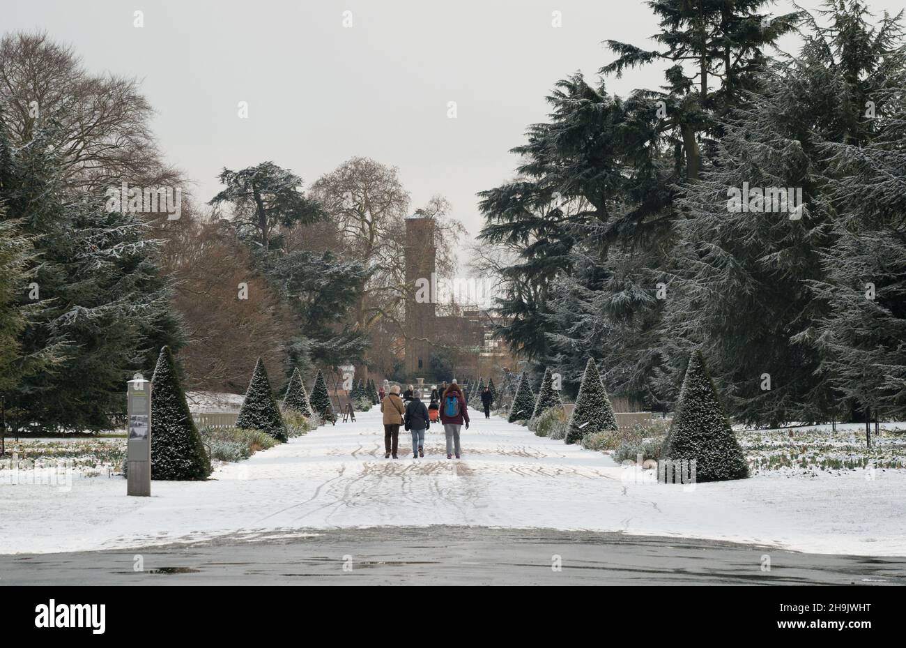 Scenes in Kew Gardens in London after the arrival of snow and the so ...