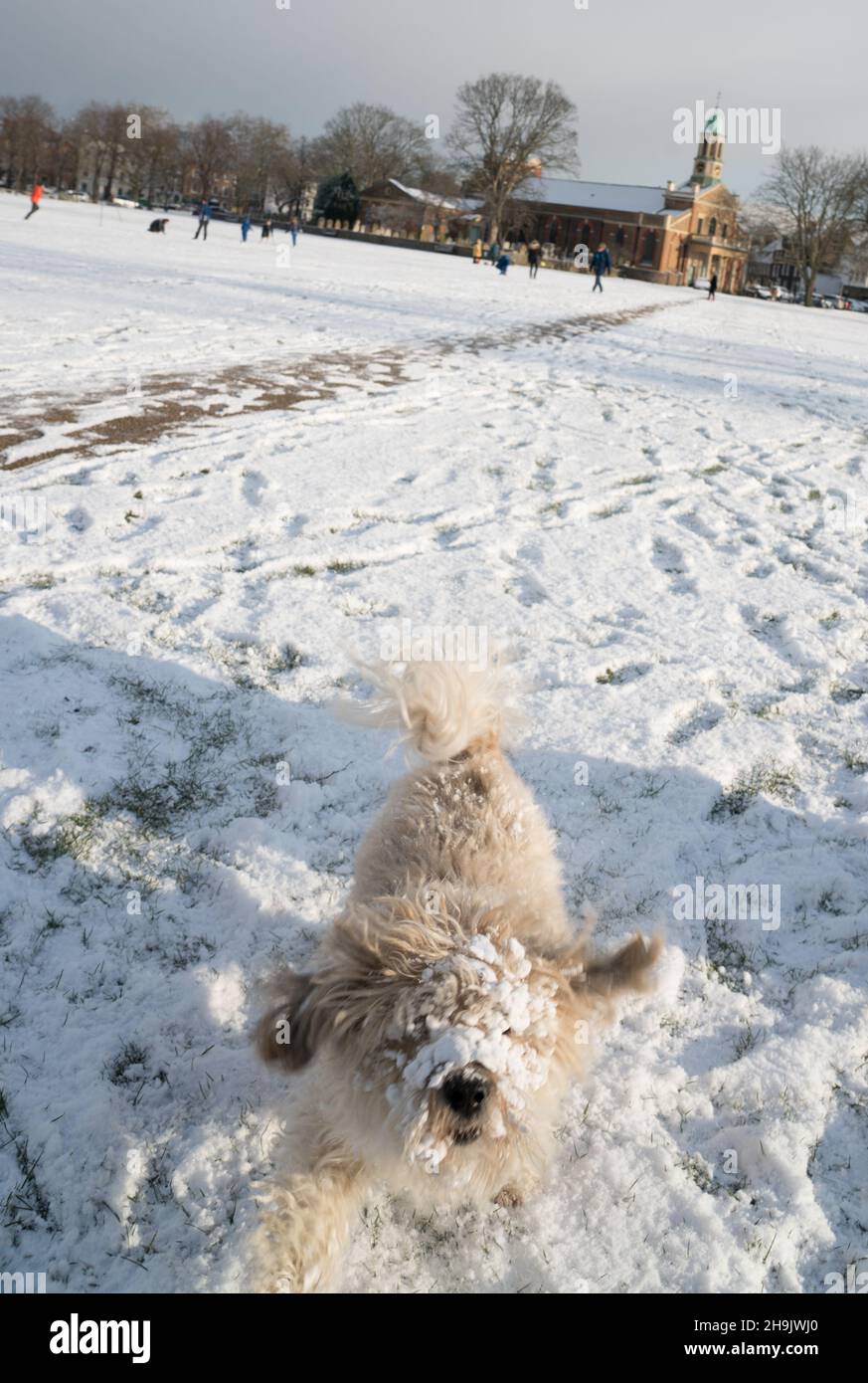 Kew Gardens Village High Resolution Stock Photography and Images - Alamy