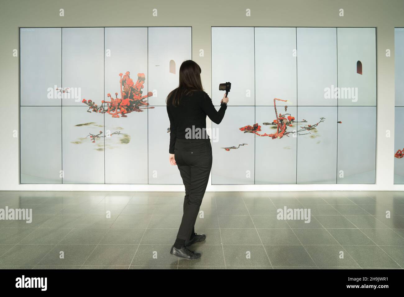 Ian Cheng's Bob (Bag of Beliefs), a sentient artwork that reacts to the ...